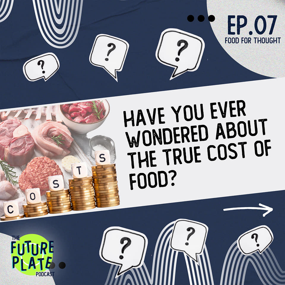 Alt Proteins and Everything in Between with Future Plate Podcast ...