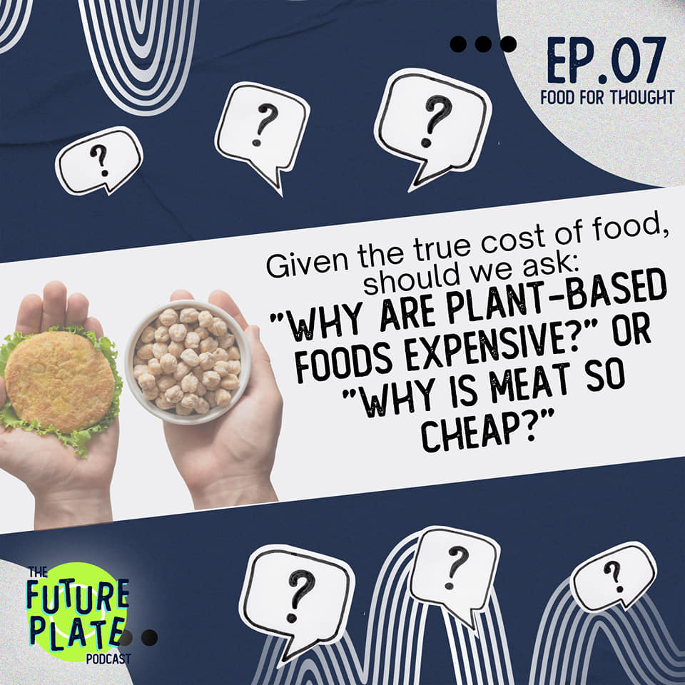 Alt Proteins and Everything in Between with Future Plate Podcast ...